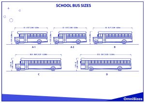 School Bus Sizes - Sizes of Objects and Stuff