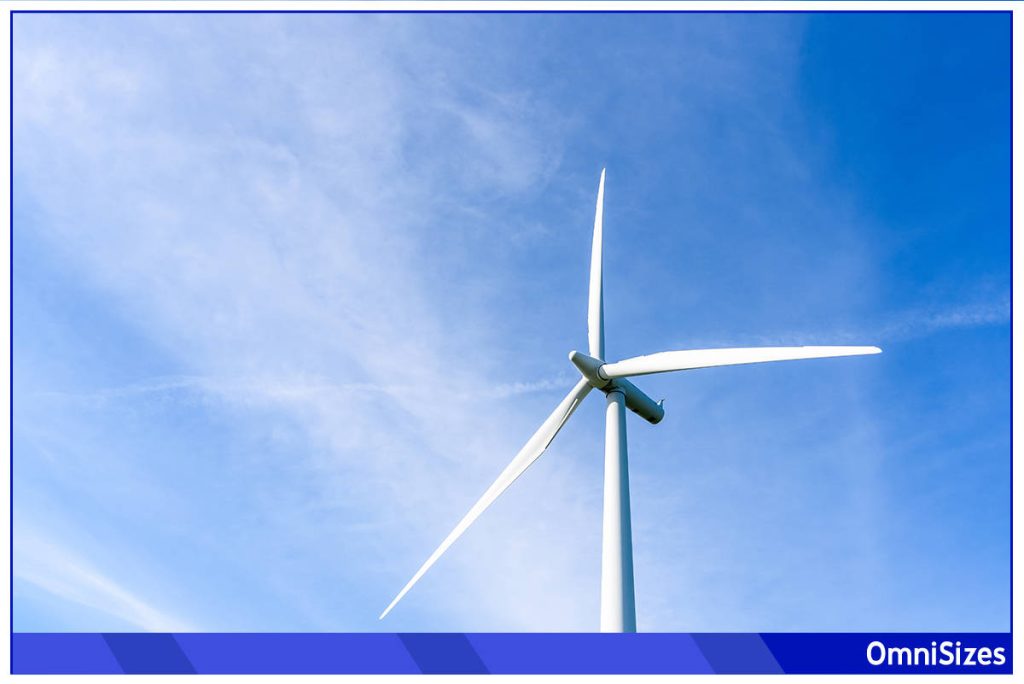 Things that Are 40 Feet Long/Tall - Sizes of Objects and Stuff