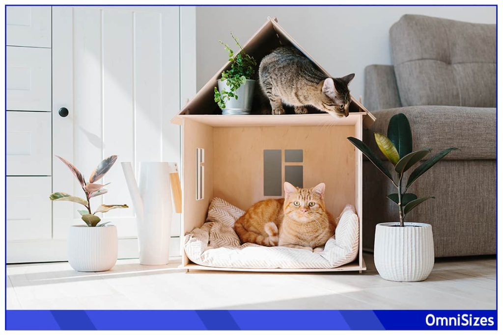 Things that Are 4 Feet Long/Tall - Sizes of Objects and Stuff