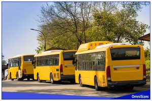 Things that Are 100 Feet Long/Tall - Sizes of Objects and Stuff