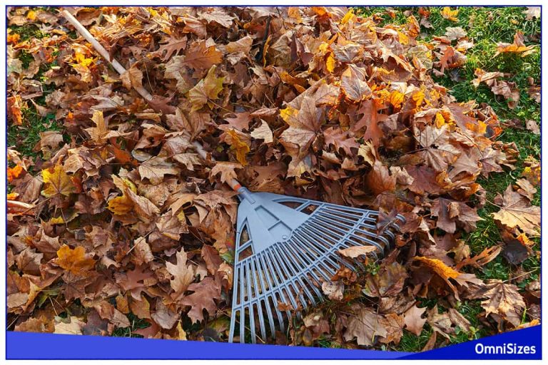 Things that Are 9 Feet Long - Sizes of Objects and Stuff