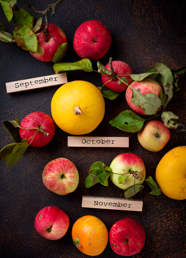 Coaster Sizes - Sizes of Objects and Stuff