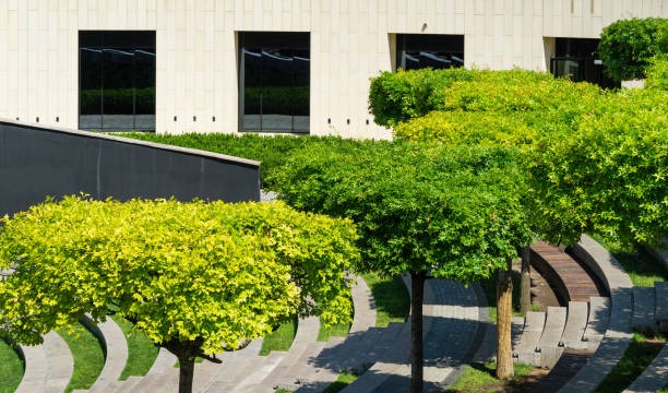 Creative Approaches to Modern Landscaping - Sizes of Objects and Stuff